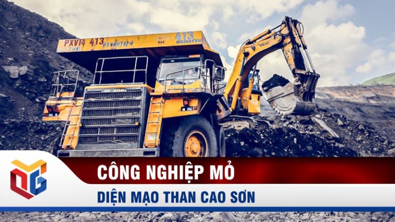 Top 5 Công ty than ở Quảng Ninh uy tín, nổi tiếng nhất - Hạ Long Media